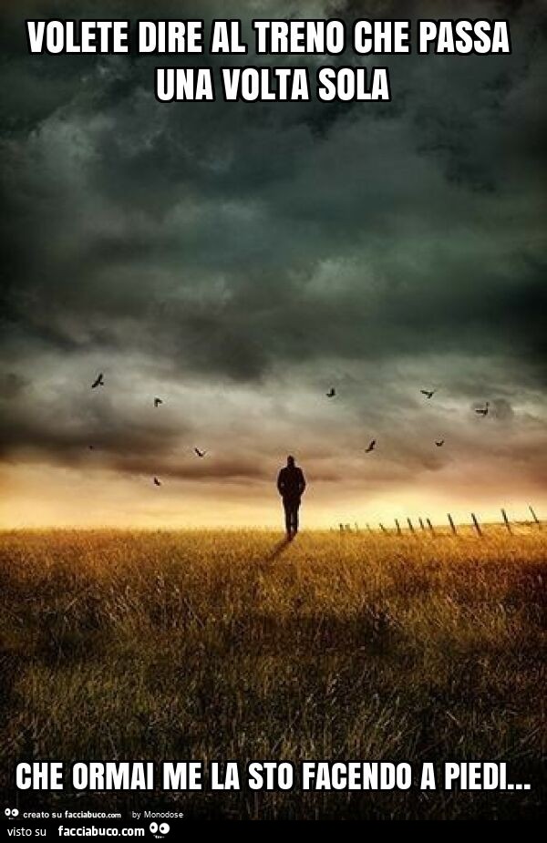 Volete dire al treno che passa una volta sola che ormai me la sto ...