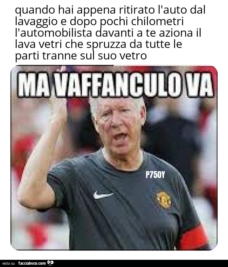 Vaffanculo lavare auto - Facciabuco.com