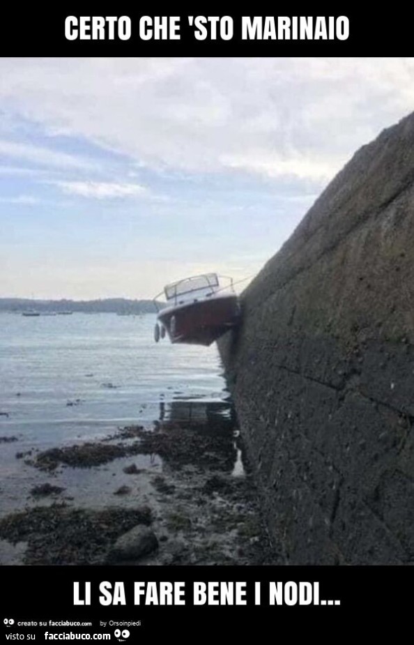 Certo che 'sto marinaio li sa fare bene i nodi - Facciabuco.com