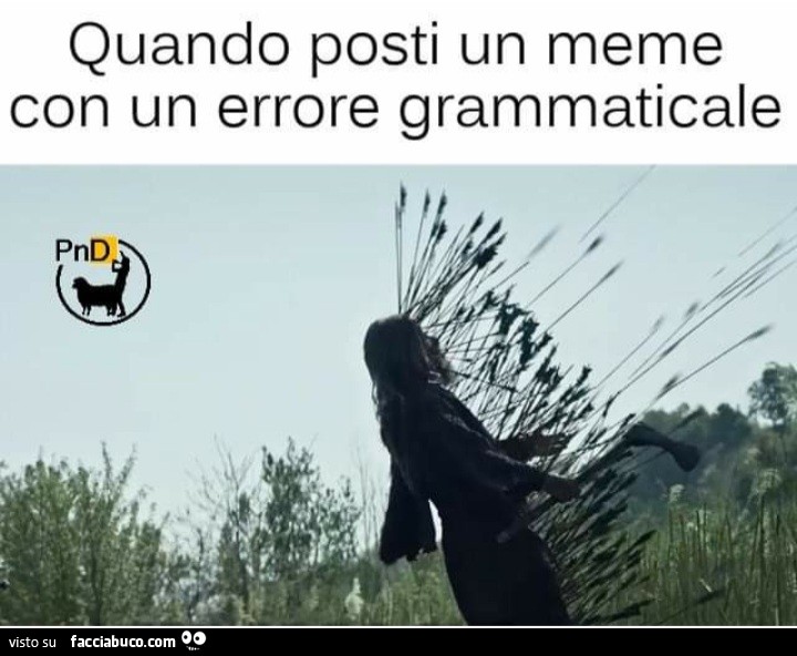 Quando posti un meme con un errore grammaticale - Facciabuco.com