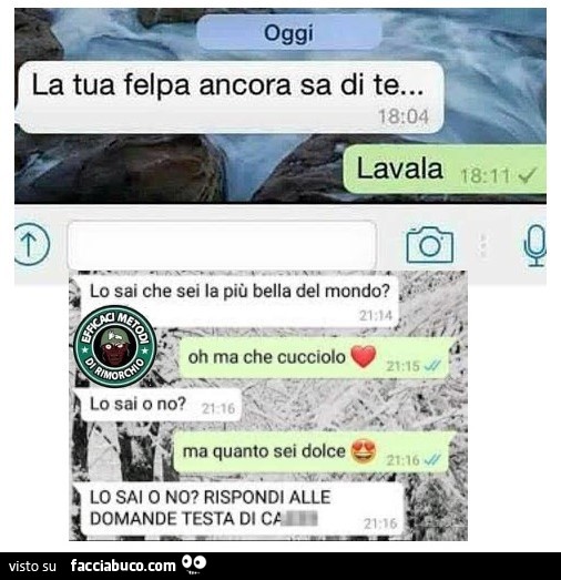 La gentilezza, non sai cos'è… vaccata pubblicata da marcosegna ... La gentilezza, non sai cos'è… vaccata pubblicata da marcosegna ...