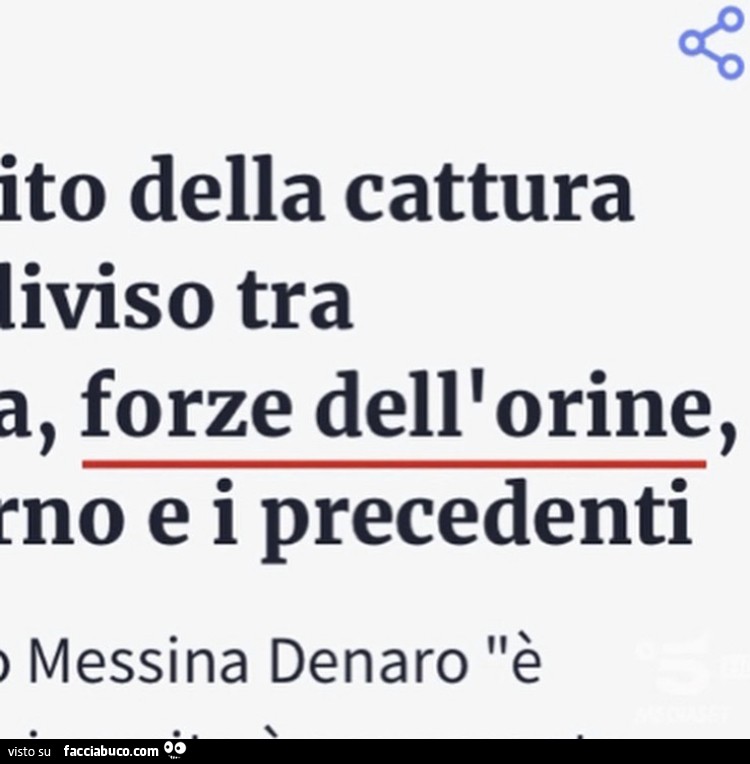 Forze dell'orine - Facciabuco.com