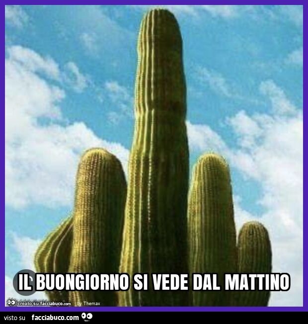 Il buongiorno si vede dal mattino - Facciabuco.com