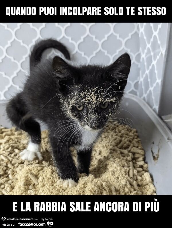 Tutti i meme su Rabbia - Facciabuco.com