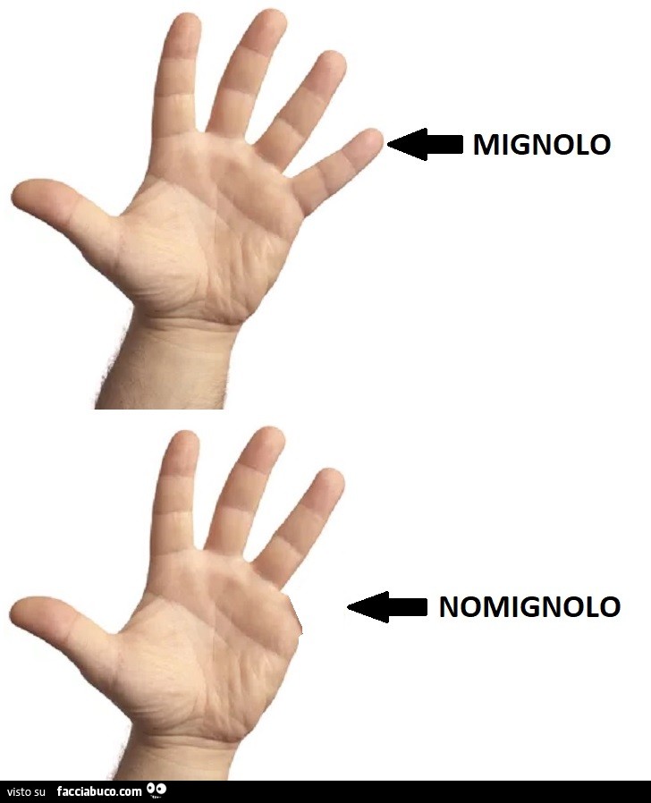 Mignolo Nomignolo - Facciabuco.com