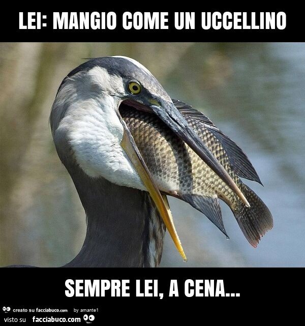 Lei: mangio come un uccellino sempre lei, a cena - Facciabuco.com