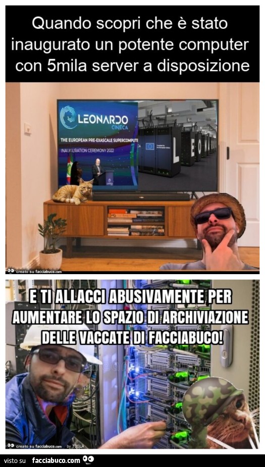 Fabio Hai fatto diventare Papuc un criminale … vaccata pubblicata da ...
