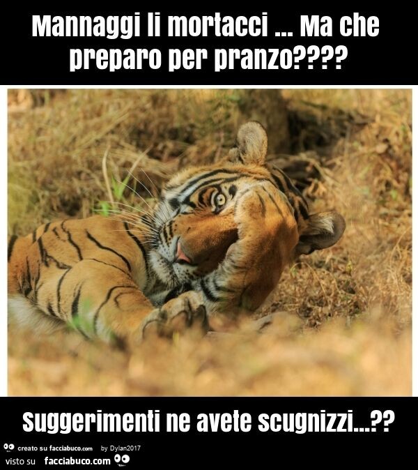 Mannaggi li mortacci… ma che preparo per pranzo? Suggerimenti ne avete ...