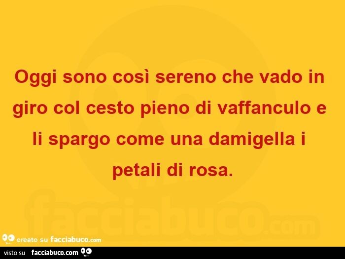 Tutti i meme sul Vaffanculo - Facciabuco.com