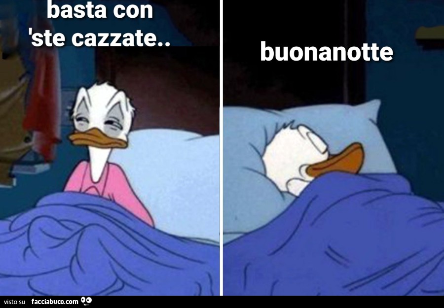 Basta cazzate - Facciabuco.com