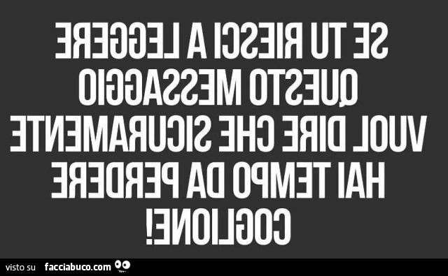Buongiorno FaBu.....siete connessi!!… post demenziale pubblicato da cicciolino - Facciabuco.com