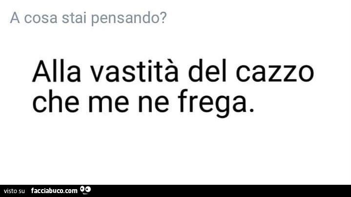 Tutti i meme sulla Vastità del cazzo che me ne frega - Facciabuco.com