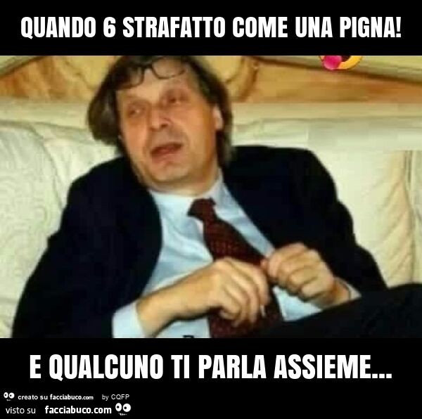 Quando 6 strafatto come una pigna! E qualcuno ti parla assieme ...