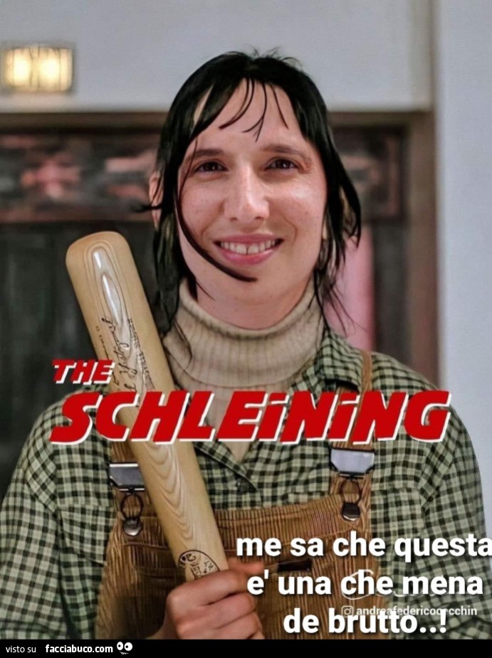 Schlein - Facciabuco.com