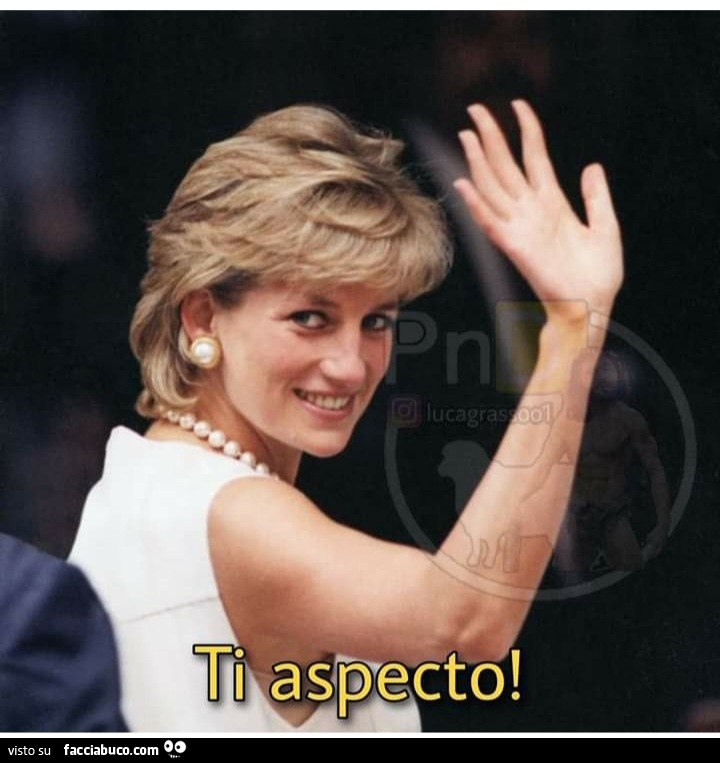 Ti aspecto lady Diana - Facciabuco.com