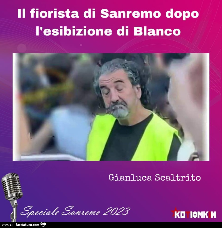 Tutti i meme sullo Steward del Concerto - Facciabuco.com