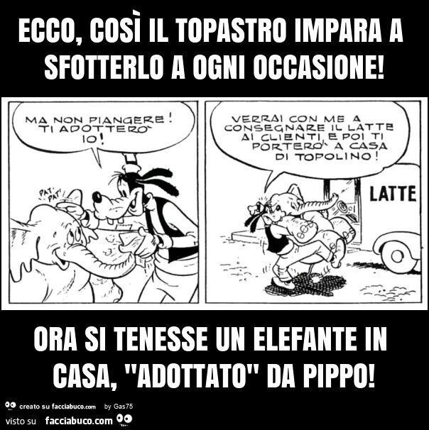 Tutti i meme su Topolino - Facciabuco.com