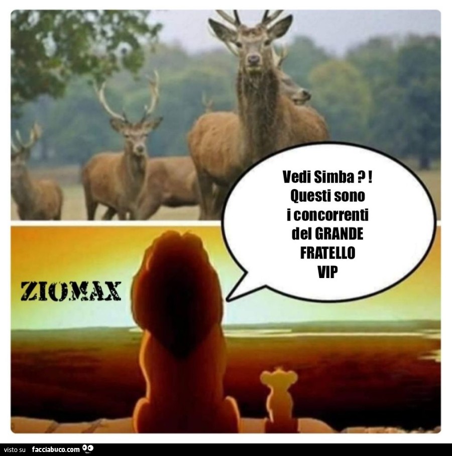 Tutti i meme su Il Re leone - Facciabuco.com