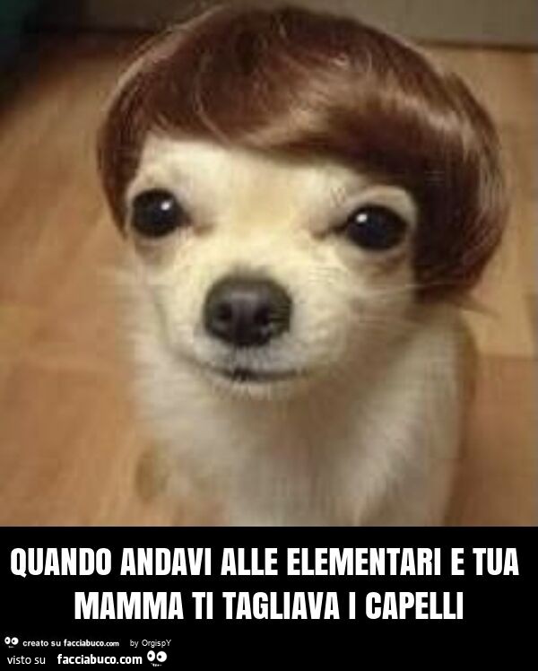 Tutti i meme sulla Mamma - Facciabuco.com