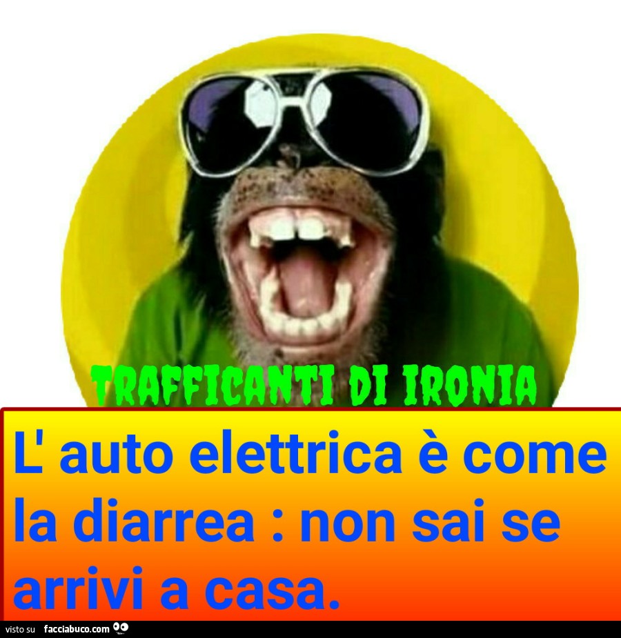 L'auto elettrica è come la diarrea non sai se arrivi a casa ... L'auto elettrica è come la diarrea non sai se arrivi a casa ...