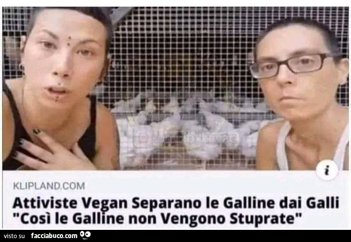 Attiviste vegan separano le galline dai galli - Facciabuco.com