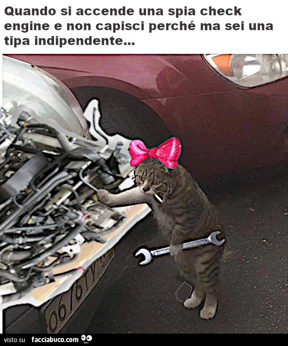 Quando si accende una spia check engine - Facciabuco.com