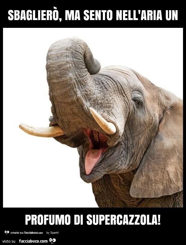Sbaglierò, ma sento nell'aria un profumo di supercazzola - Facciabuco.com