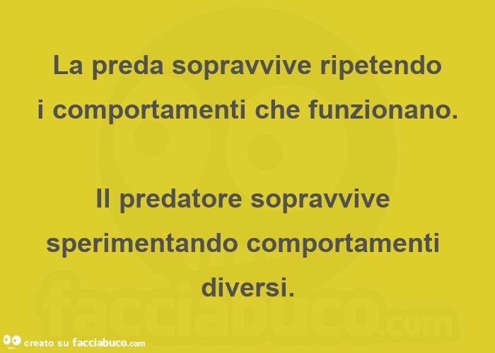 La preda sopravvive ripetendo i comportamenti che funzionano. Il ...