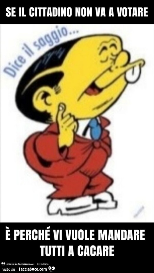 Se il cittadino non va a votare è perché vi vuole mandare tutti a ...
