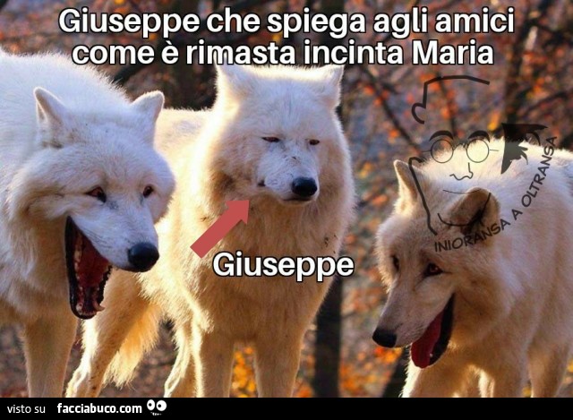 Tutti i meme sulla Satira Religiosa - Facciabuco.com