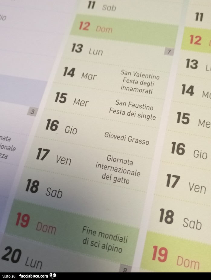 Se San Faustino, giovedì grasso e la giornata internazionale del gatto ...