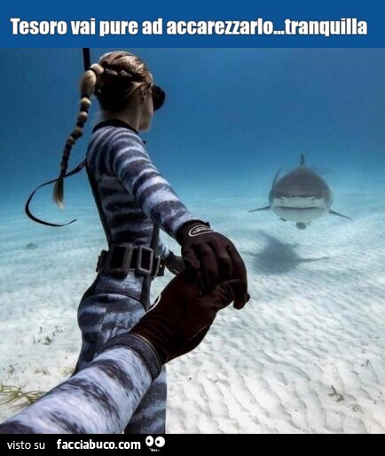 Tutti i meme su Lo Squalo - Facciabuco.com