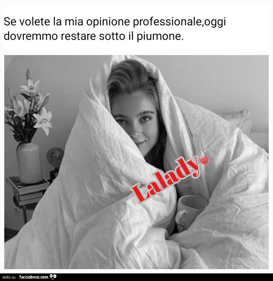 Vaccata pubblicata da Lalady - Facciabuco.com