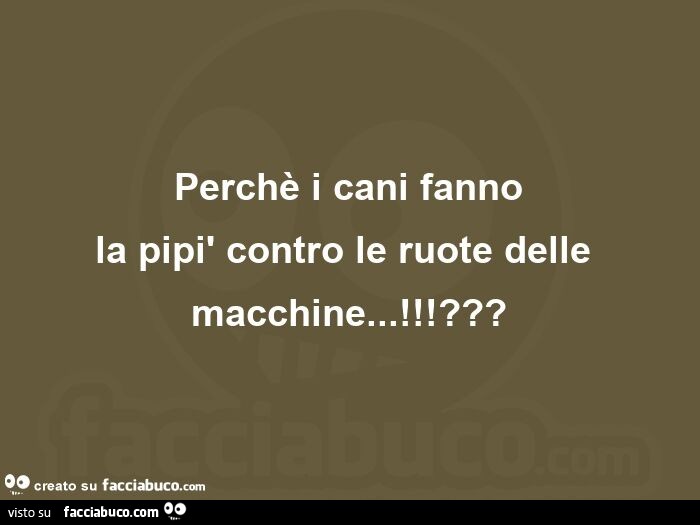 Perchè i cani fanno la pipì contro le ruote delle macchine… !? - Facciabuco.com