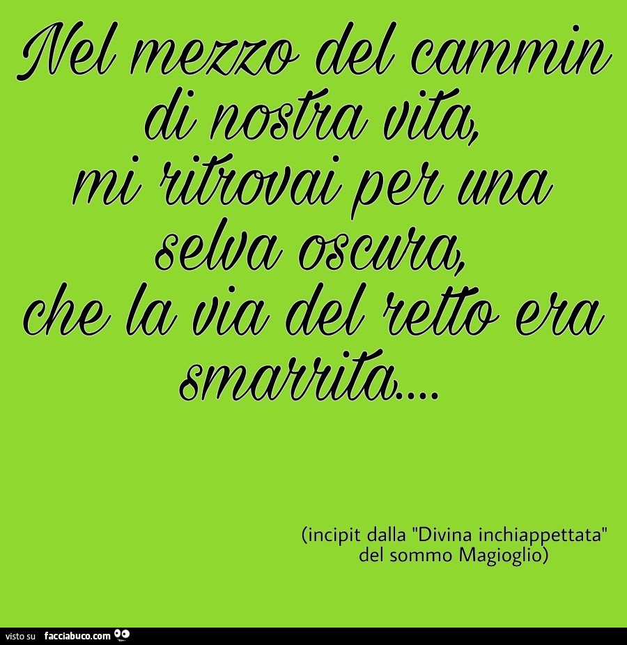 Mel mezzo del cammin di vita, mi ritrovai per una selva oscura che la ...