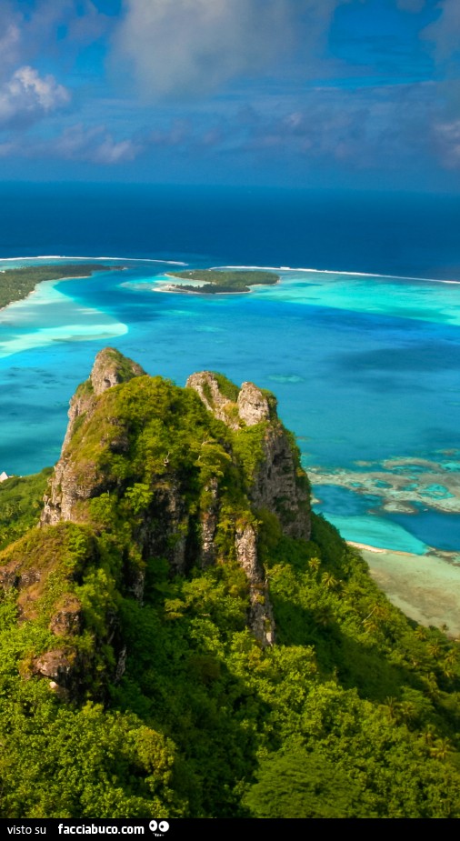 Prof. Arronaux: Voi amate il mare, capitano? Nemo: Sì! L'amo! Il mare ...