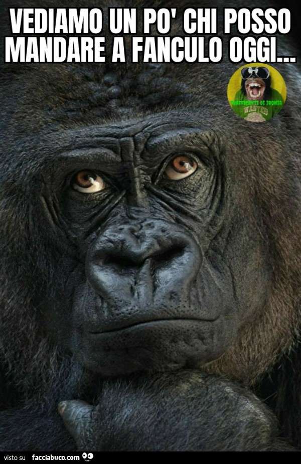 Tutti i meme sul Vaffanculo - Facciabuco.com