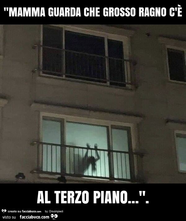 "mamma guarda che grosso ragno c'è al terzo piano… " - Facciabuco.com