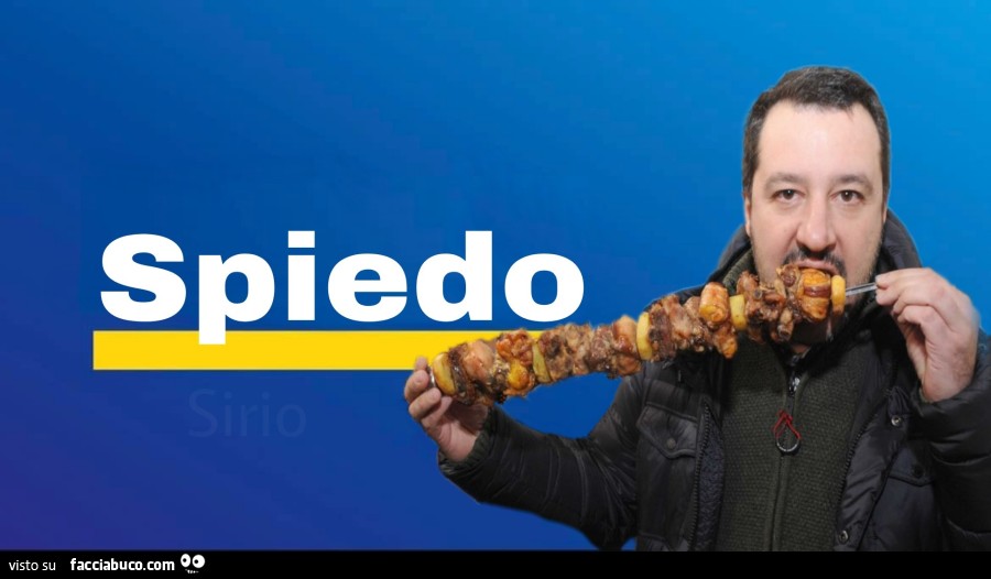 Tutti i meme su Matteo Salvini - Facciabuco.com